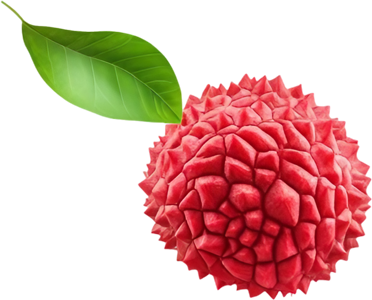 Rio x BTF Lychee – McCarter